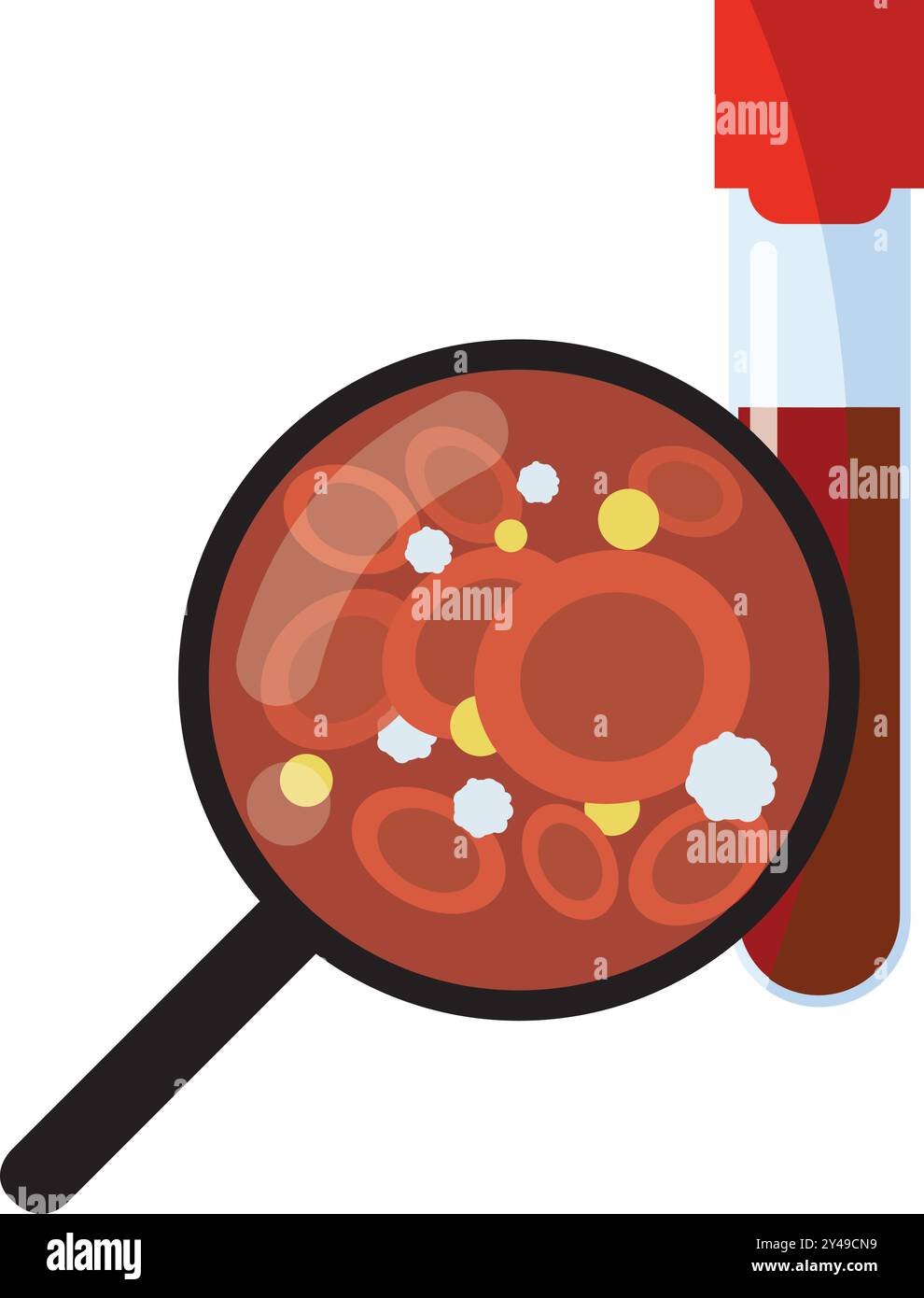 Blood cells. Composition of blood. platelets, red and white blood cells ...