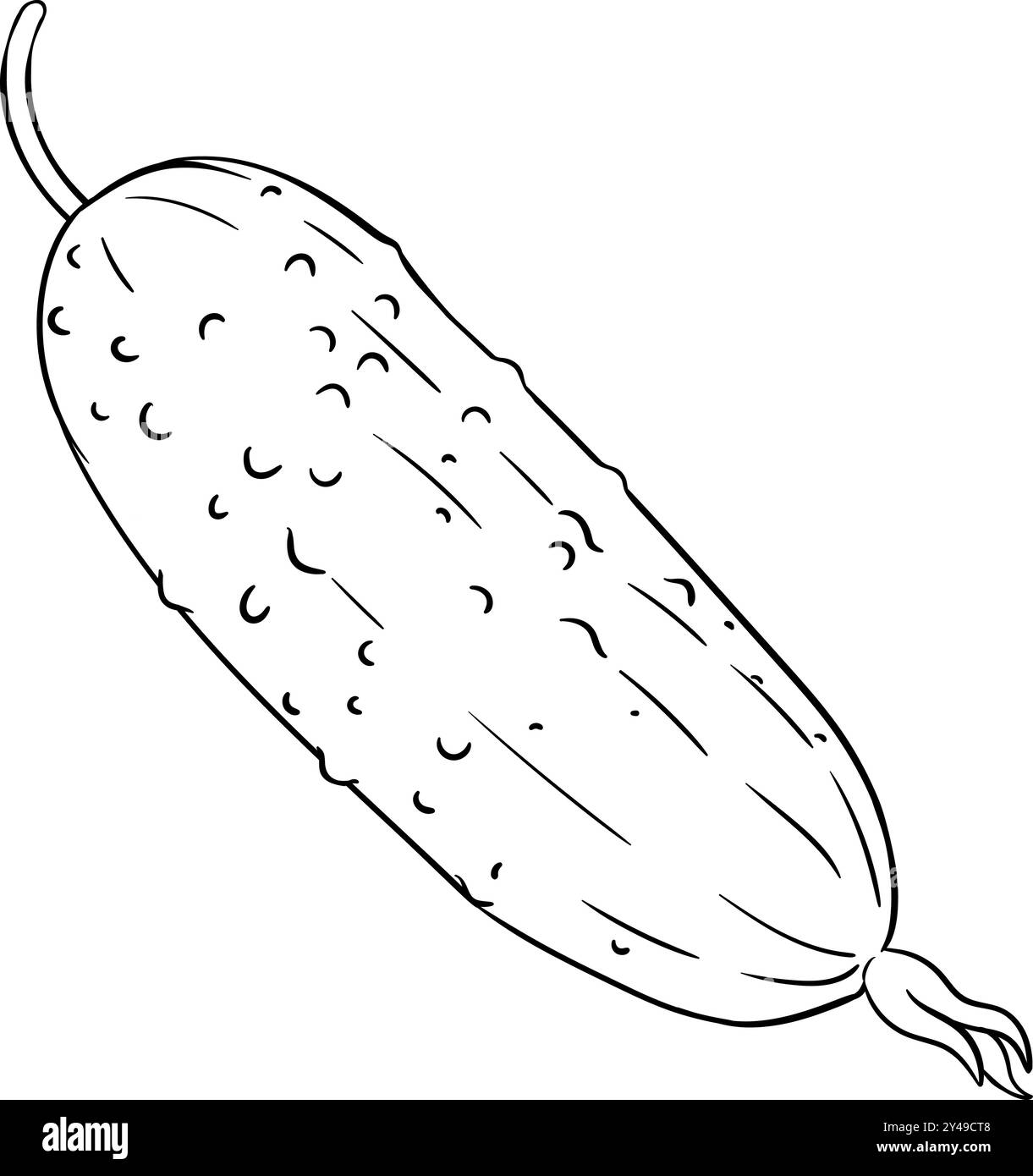 Cucumber Vegetable Isolated Outline Illustration Stock Vector Image ...