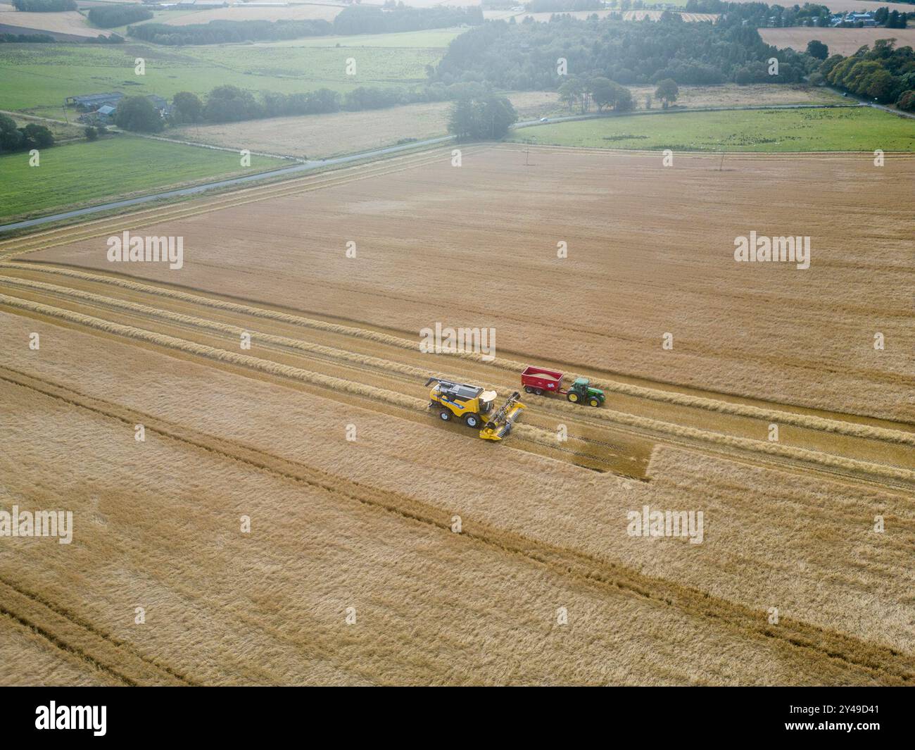 2024 wheat uk hi-res stock photography and images - Alamy