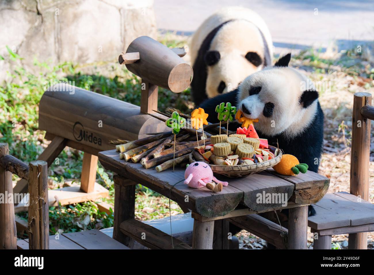 Chongqing, China. 17th Sep, 2024. CHONGQING, CHINA - SEPTEMBER 17, 2024 ...