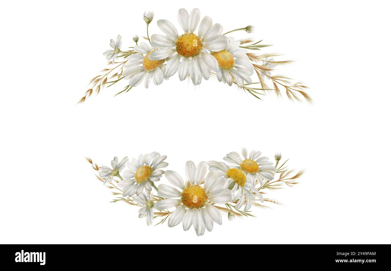 White daisies flowers buds, dried flowers as a symbol of purity ...