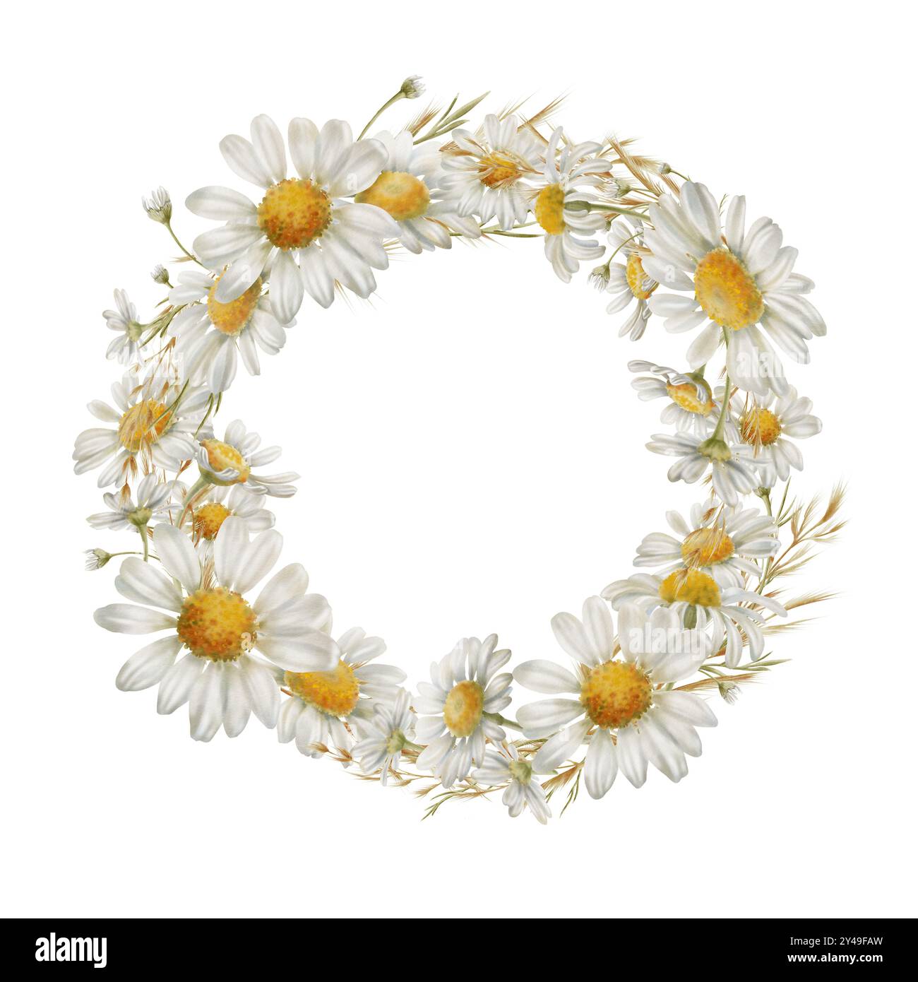Round wreath of white flowers daisies, buds, dried flowers as a symbol ...