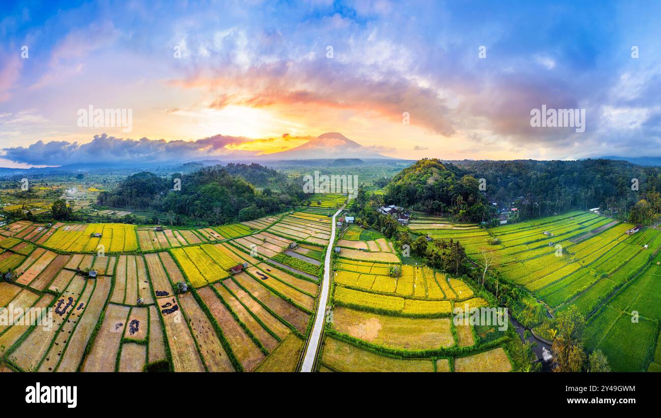 Panorama of rice field and mount Agung in Bali, Indonesia Stock Photo ...