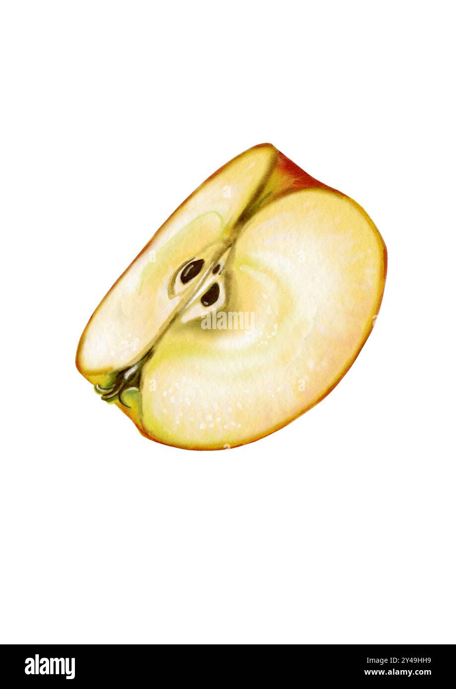 Half an apple. seeds Ripe and juicy fruit. The pulp is visible. The ...