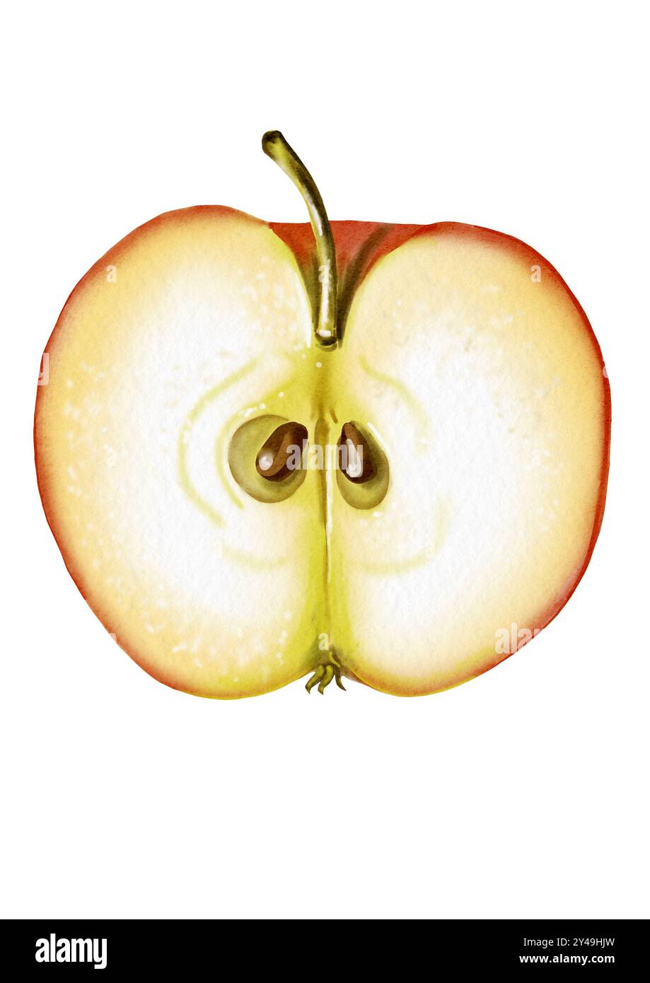 Half an apple. seeds Ripe and juicy fruit. The pulp is visible. The ...