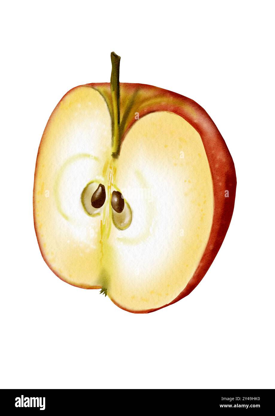 Half an apple. seeds Ripe and juicy fruit. The pulp is visible. The ...