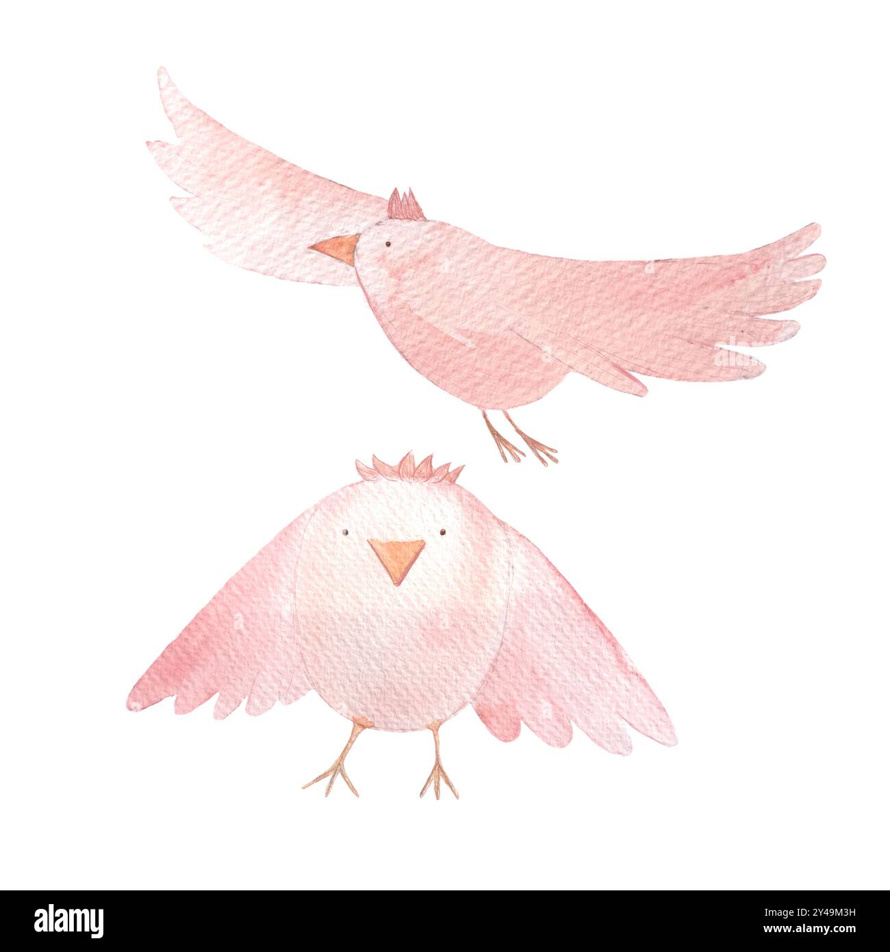 Pink chicks flying and standing, cartoon stile character, hand painted ...