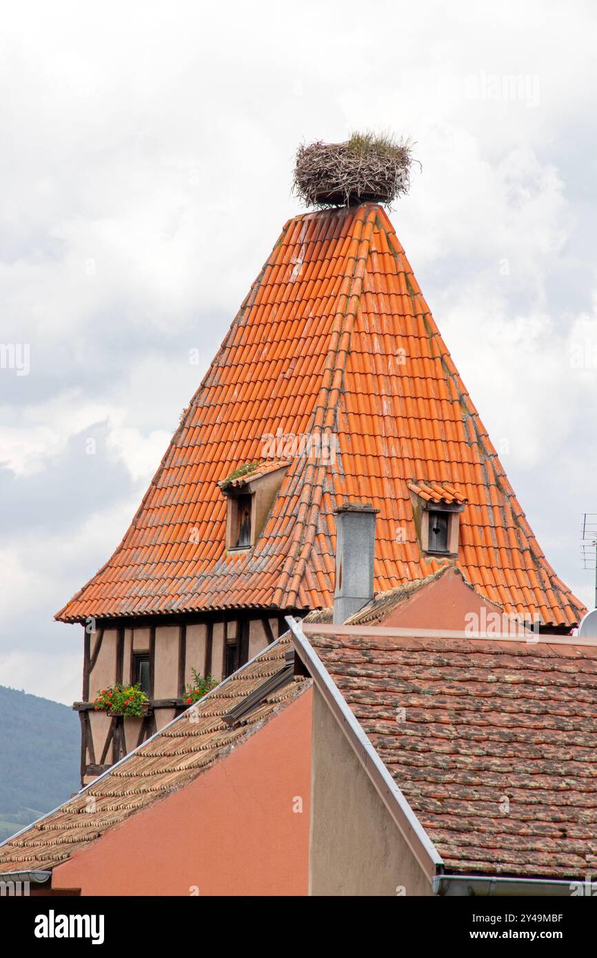 The Châtenois witch tower, built in the 15th century, and the storks ...