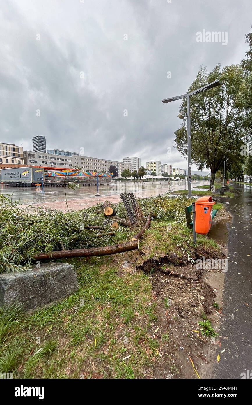 Linz, Urfahr, Hochwasser 17.09.2024, Linz, AUT, Urfahr, Hochwasser, im ...