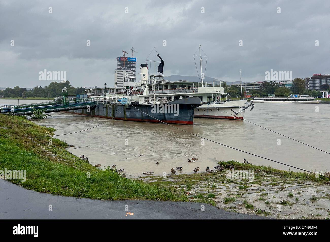 Linz, Urfahr, Hochwasser 17.09.2024, Linz, AUT, Urfahr, Hochwasser, im ...