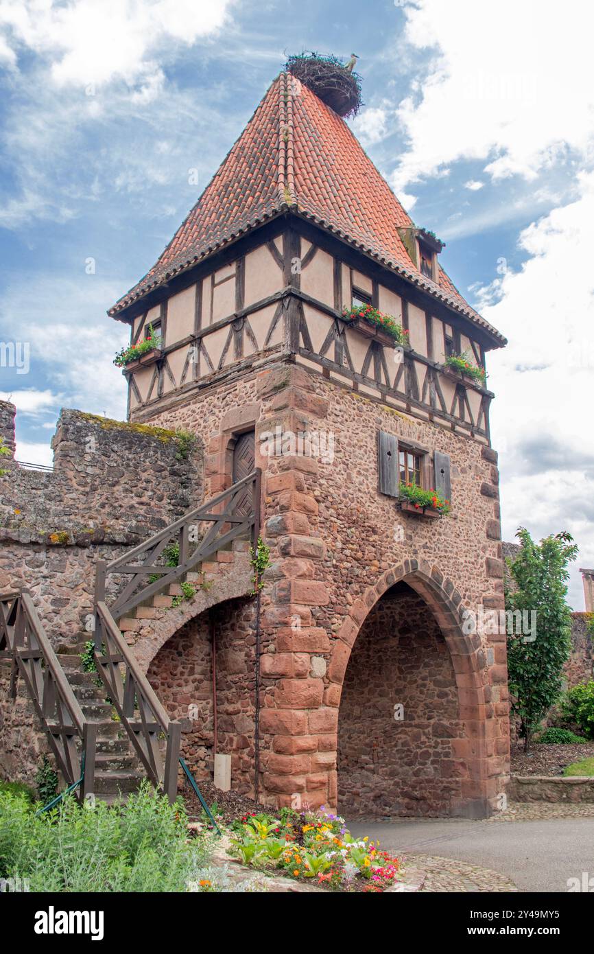 The Chatenois witches' tower, built in the 15th century, and the stork ...