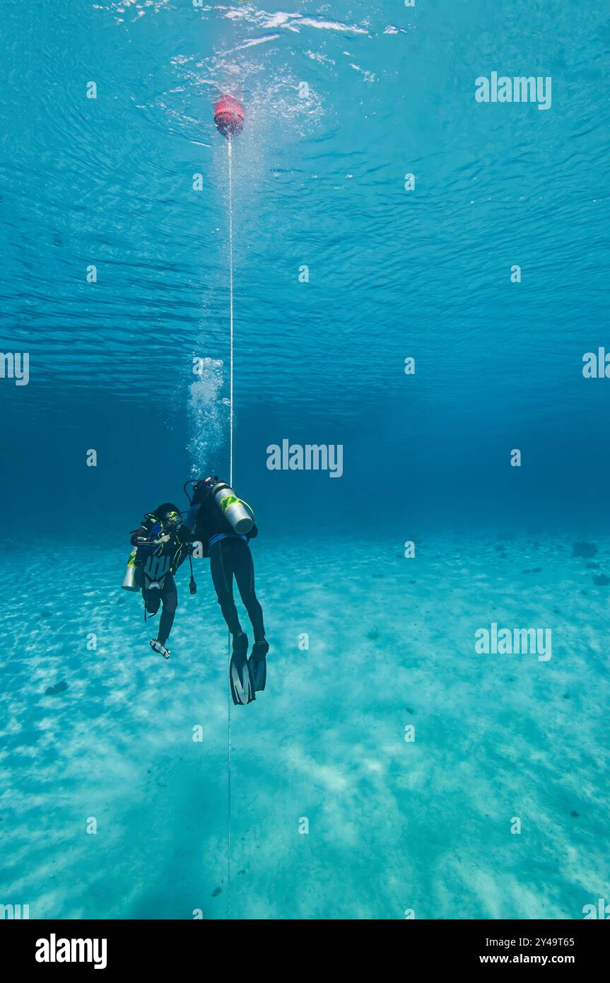 Two divers in clear blue shallow water doing their safety stop holding ...