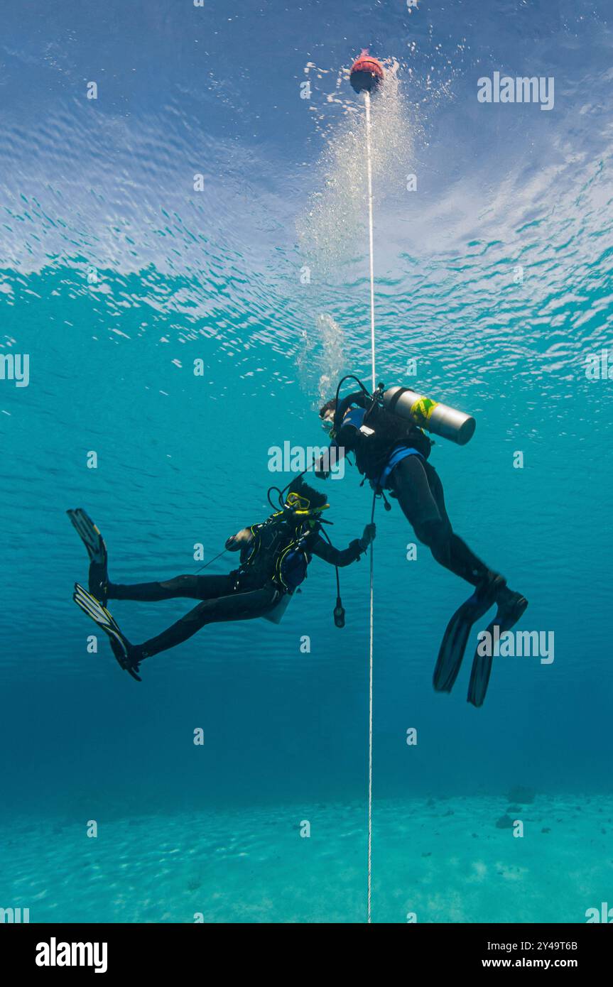 Two divers in clear blue shallow water doing their safety stop holding ...