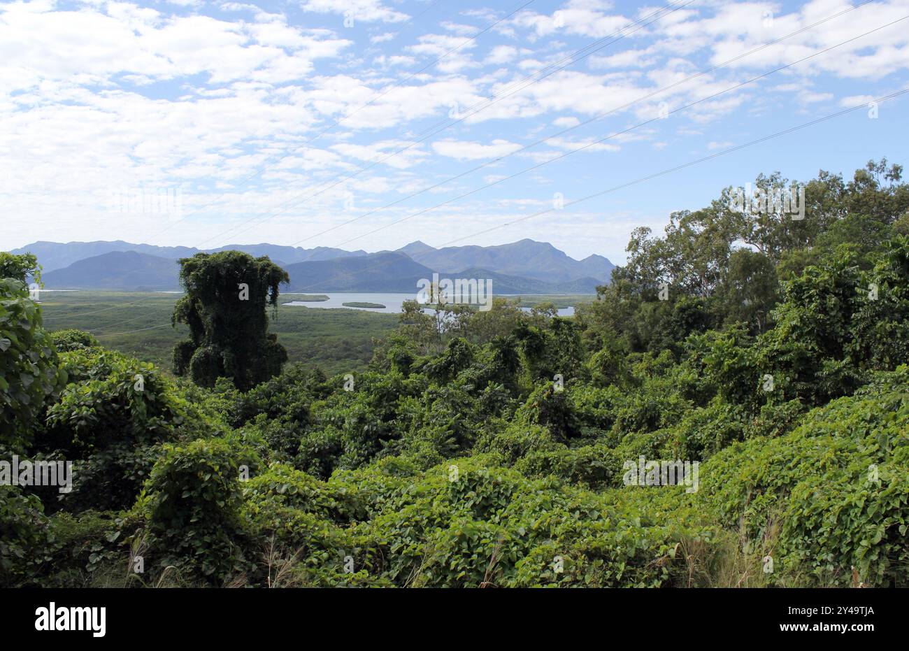 View of trees, mountains and the ocean from the Hinchinbrook Lookout in ...