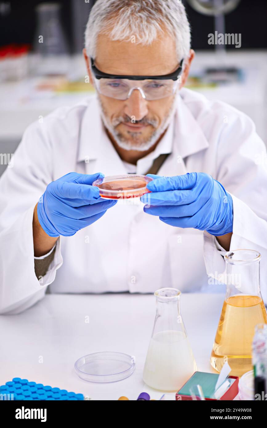Blood test, doctor and Petri dish in laboratory for research, studying ...