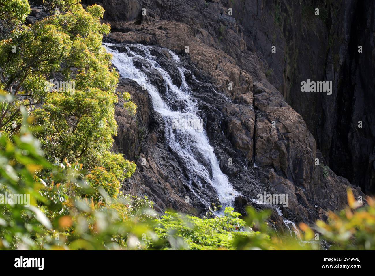 View of Barron Falls waterfall surrounded by rocks and trees in Barron ...