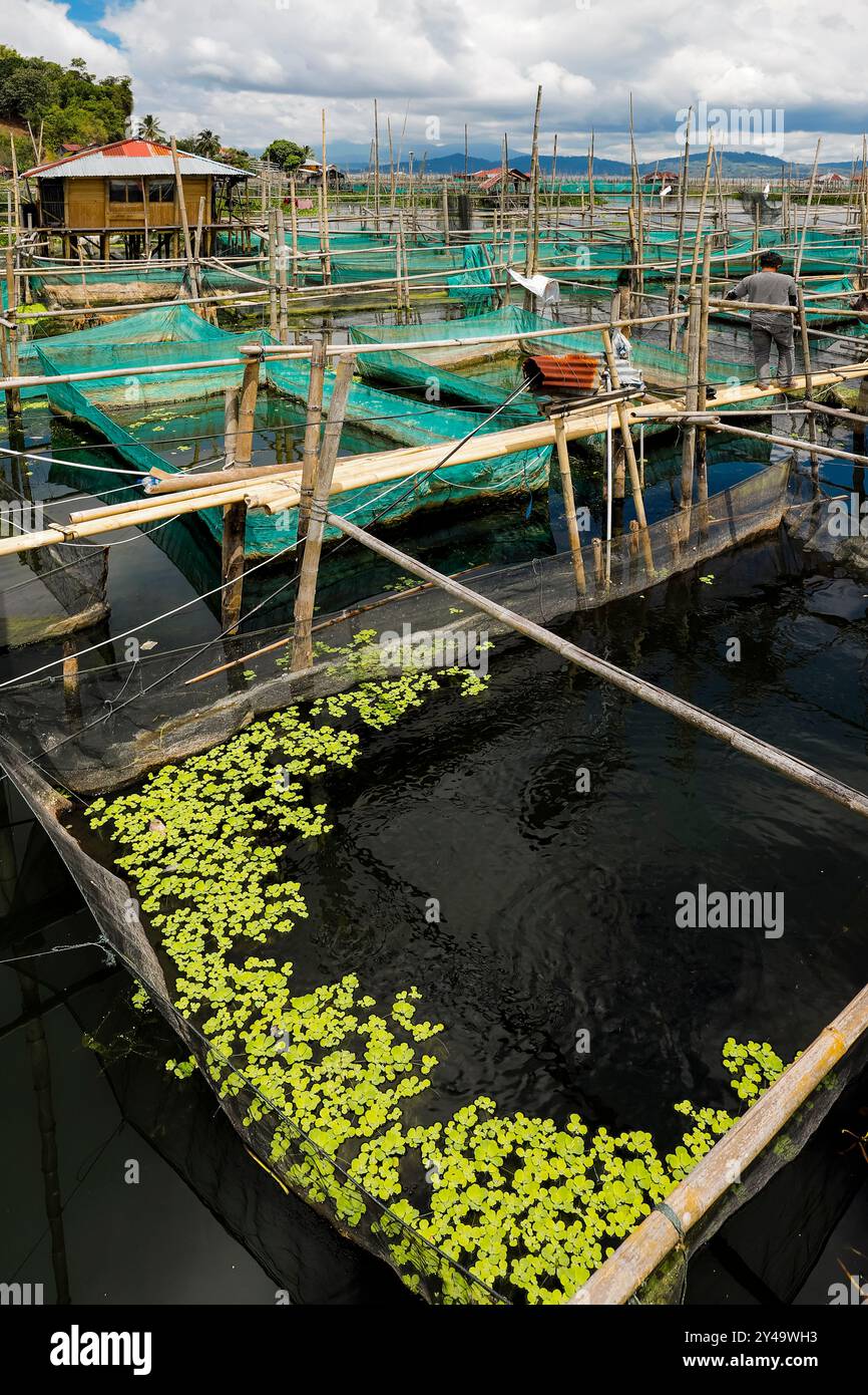 Fish cage farming by this large lake that suffers from climate change ...