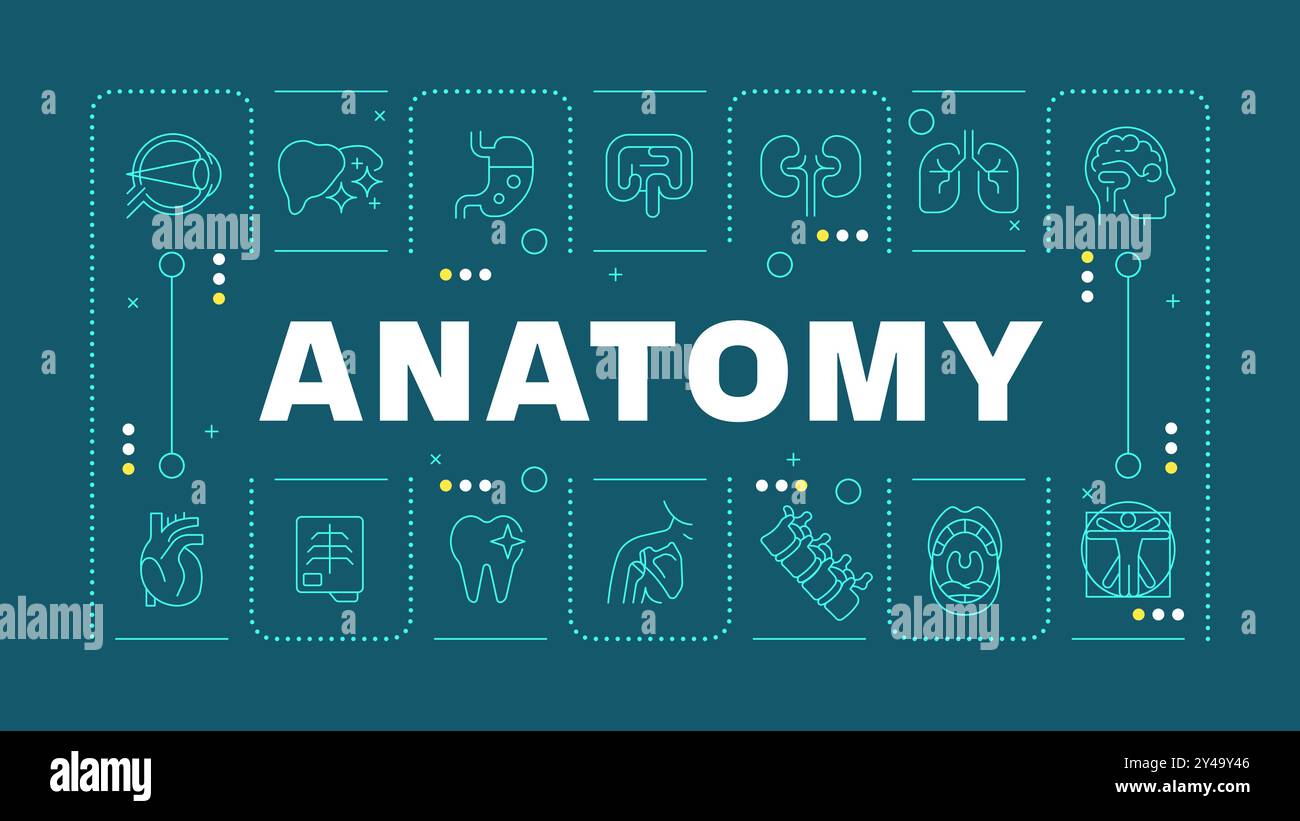 Studying human anatomy Stock Vector Images - Alamy