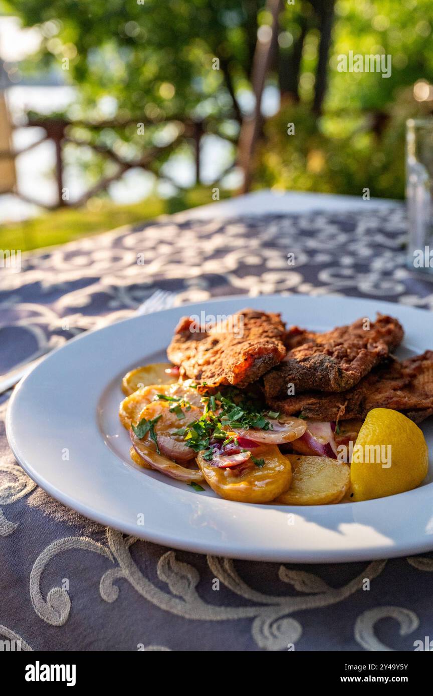 Donaufisch hi-res stock photography and images - Alamy