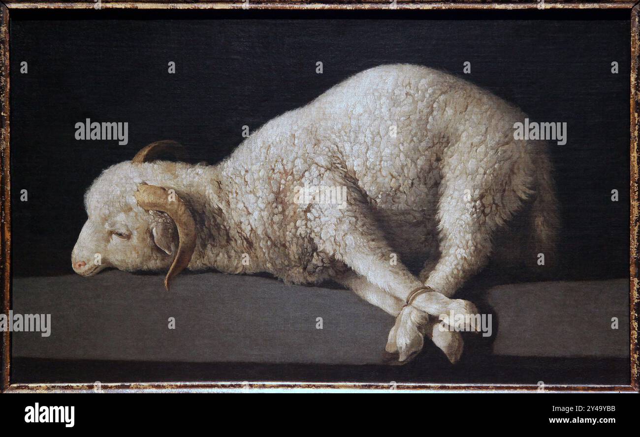 The Lamb of God The Mystic Lamb Agnus Dei (ca 1635-1640) by Francisco ...