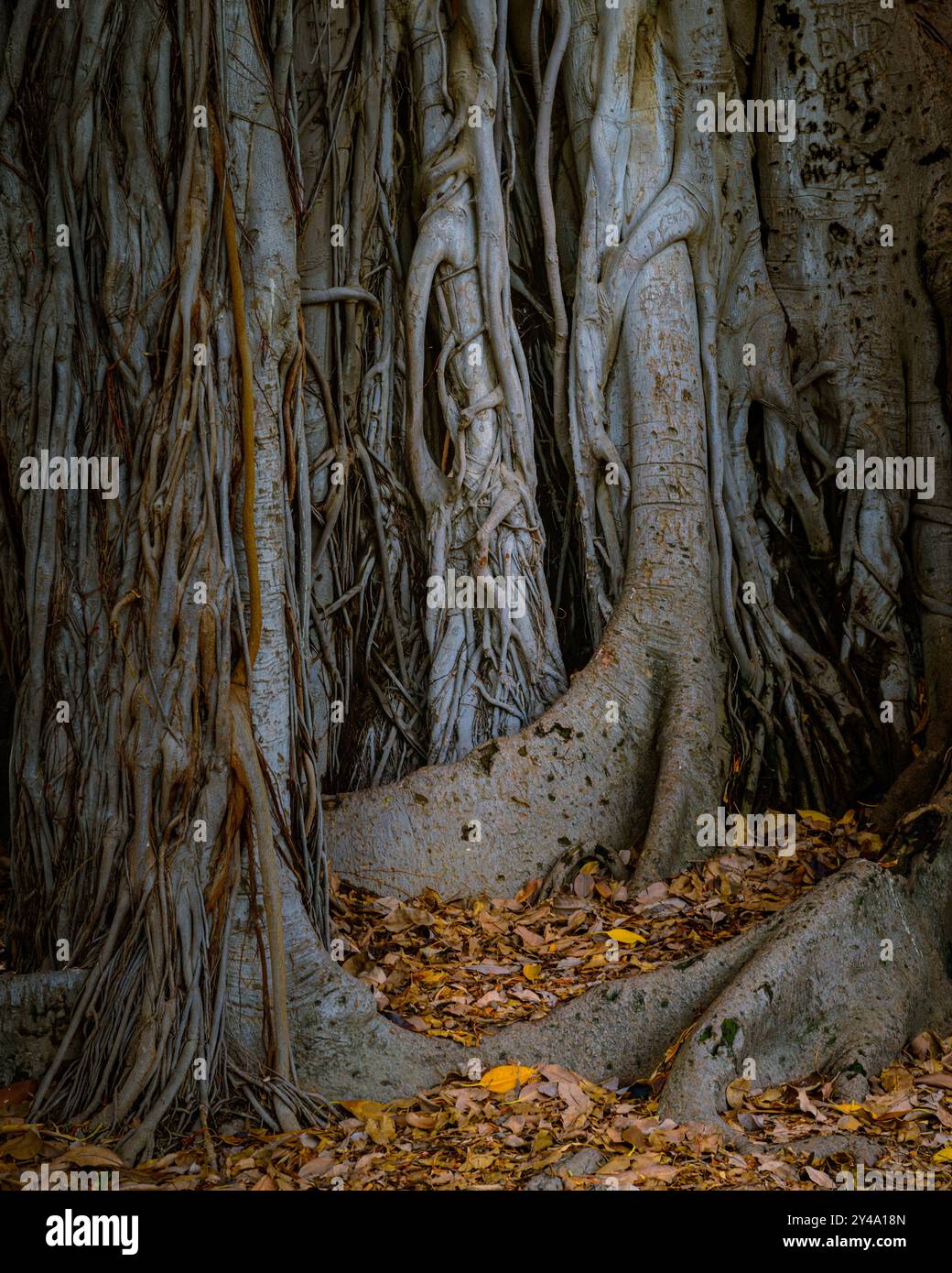 Haunting reminder past hi-res stock photography and images - Alamy