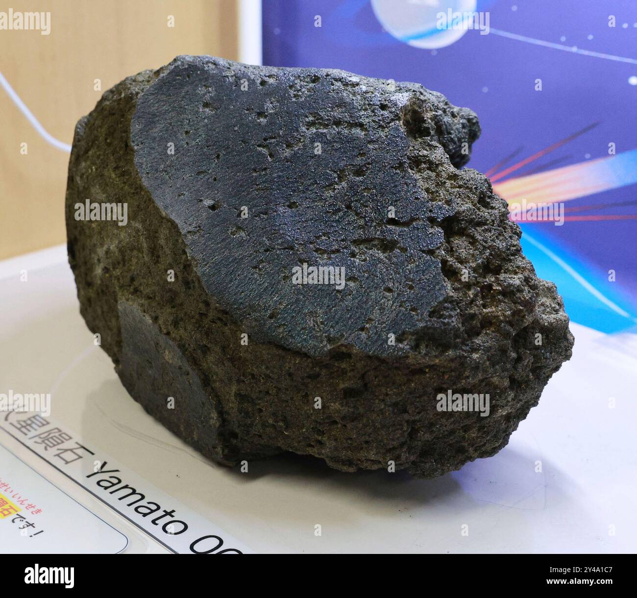 Martian meteorite is pictured at the National Institute of Polar ...