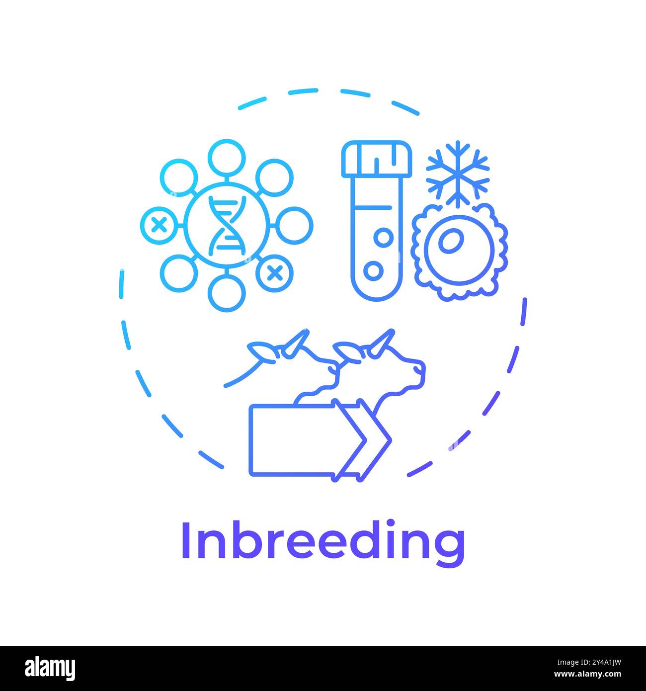 Inbreeding hi-res stock photography and images - Alamy