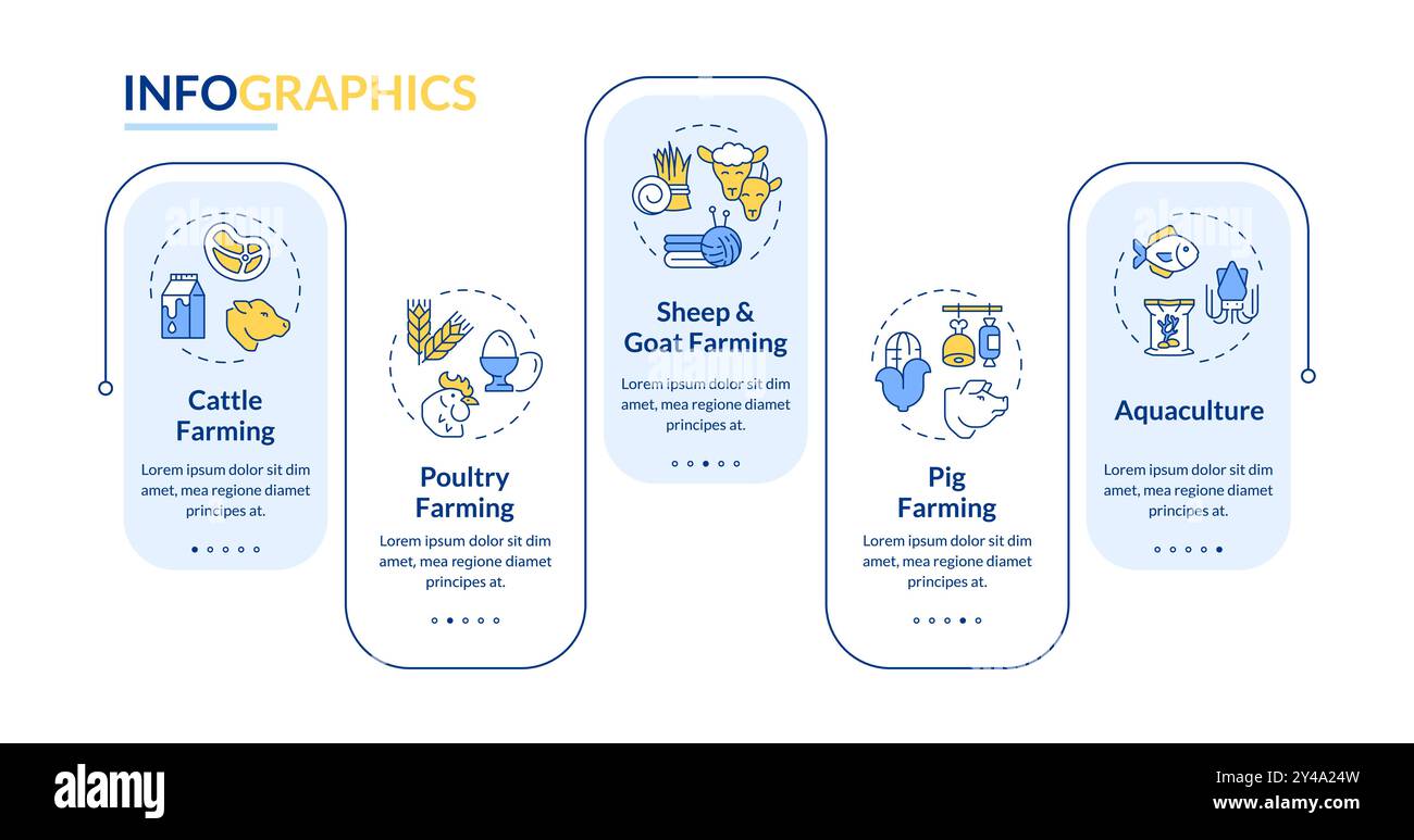Farming types rectangle infographic vector Stock Vector Image & Art - Alamy