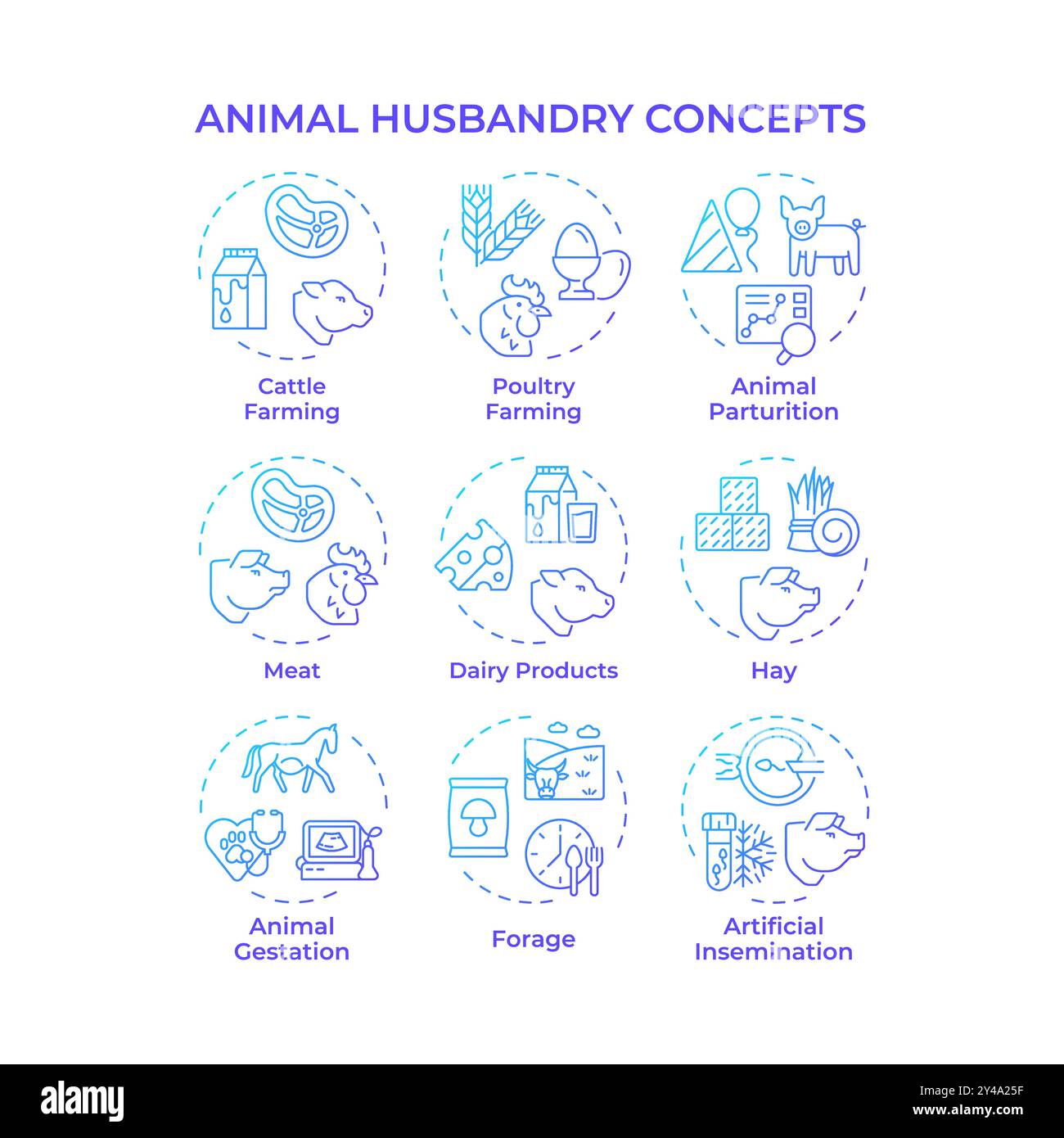 Animal husbandry blue gradient concept icons Stock Vector Image & Art ...