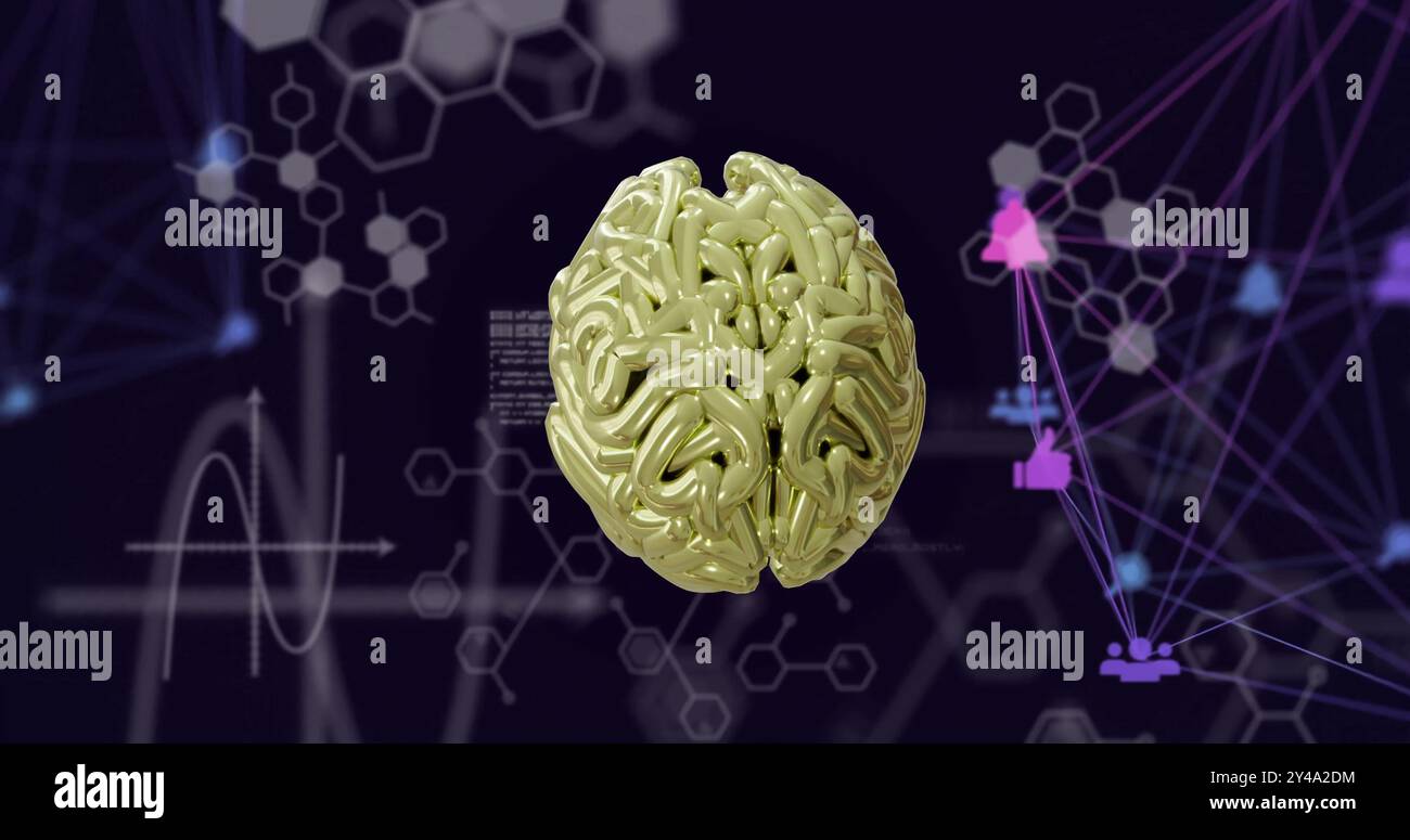 Digital brain network data processing hi-res stock photography and ...