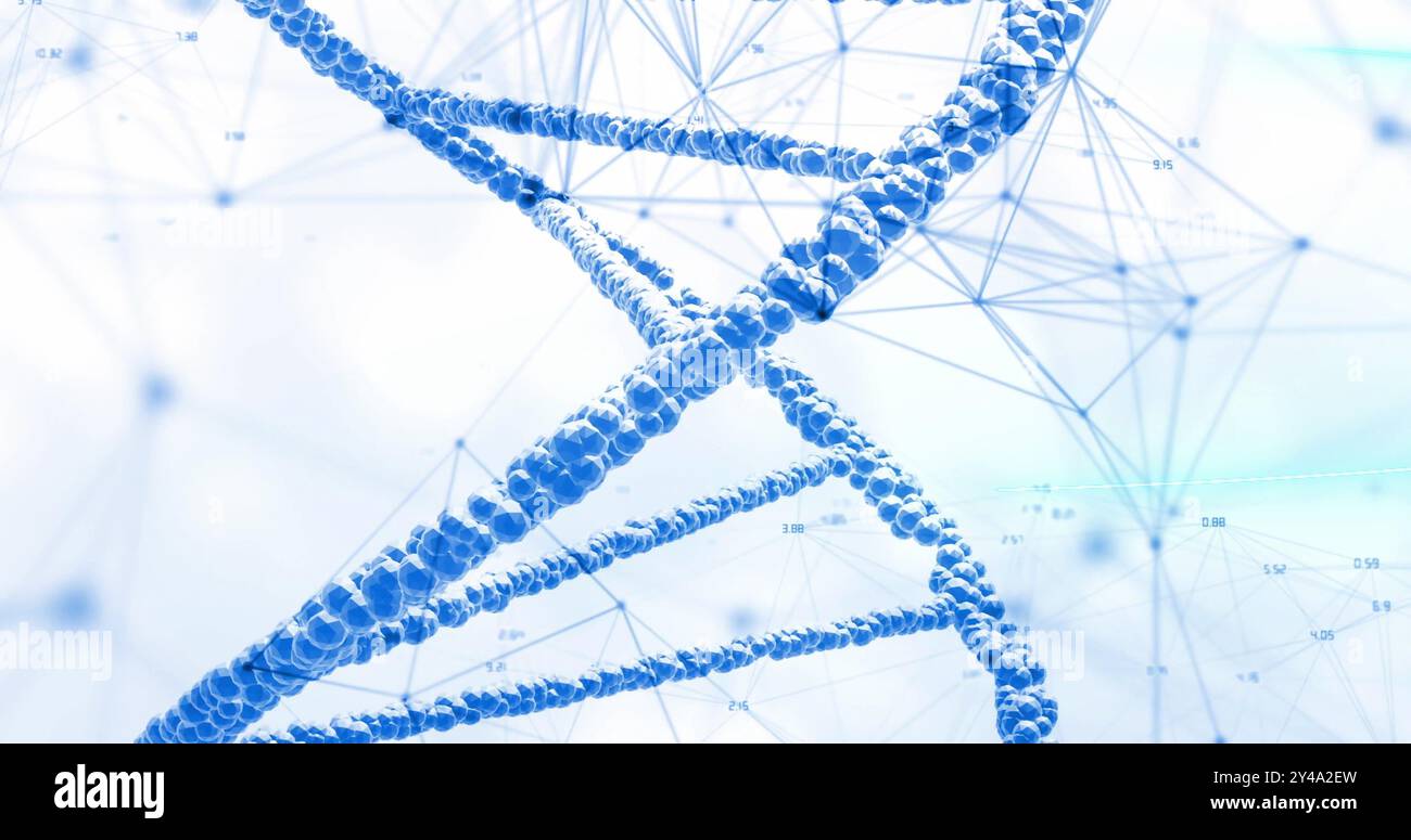 Image of dna strand and connections on white background Stock Photo - Alamy