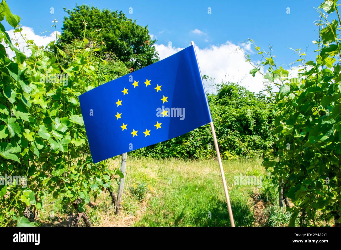 Flag of European Union on the nature background Stock Photo - Alamy