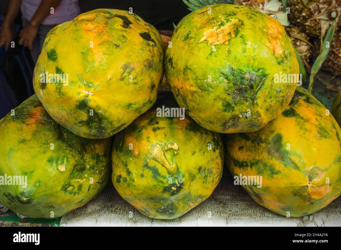 Large ripe papayas on a market stall, an important, plentiful tropical ...