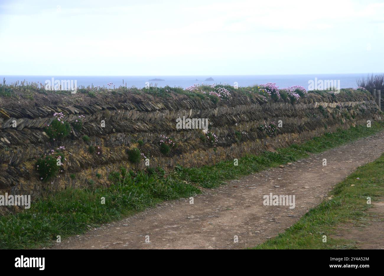 Traditional 'Curzyway' Handmade Cornish Slate Herringbone Dry Stone ...
