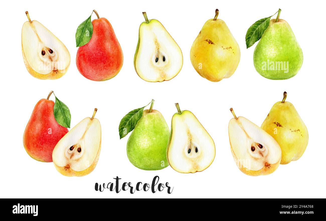 Hand-Painted Watercolor Pear Set Botanical Illustration Stock Photo - Alamy