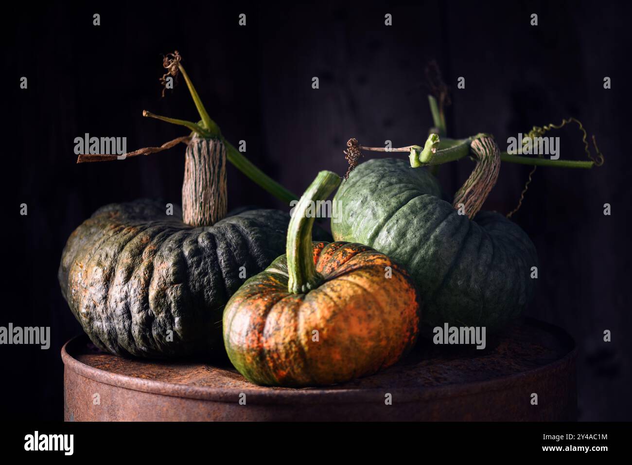 Three different types of pumpkins on an old rusty barrel in a dark ...