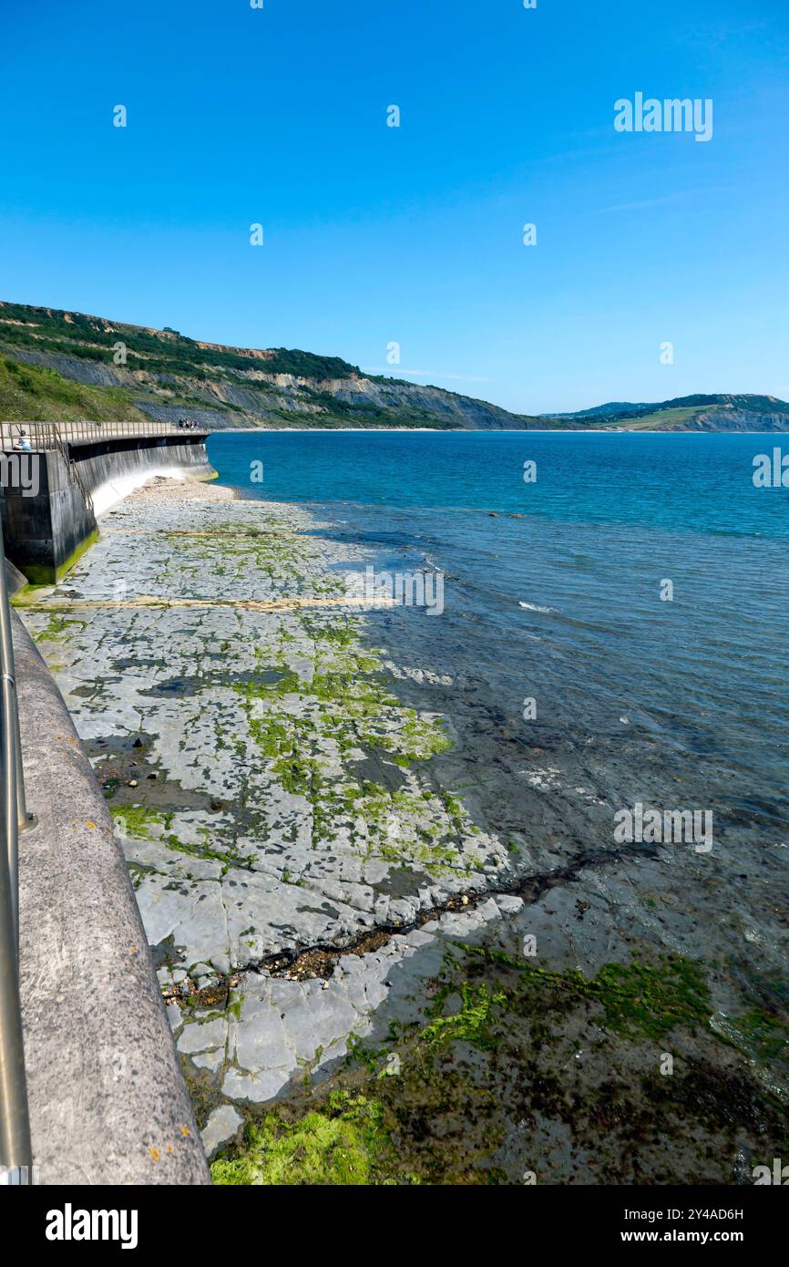 The Blue Lias, a prevalent feature of the cliffs around Lyme Regis and ...
