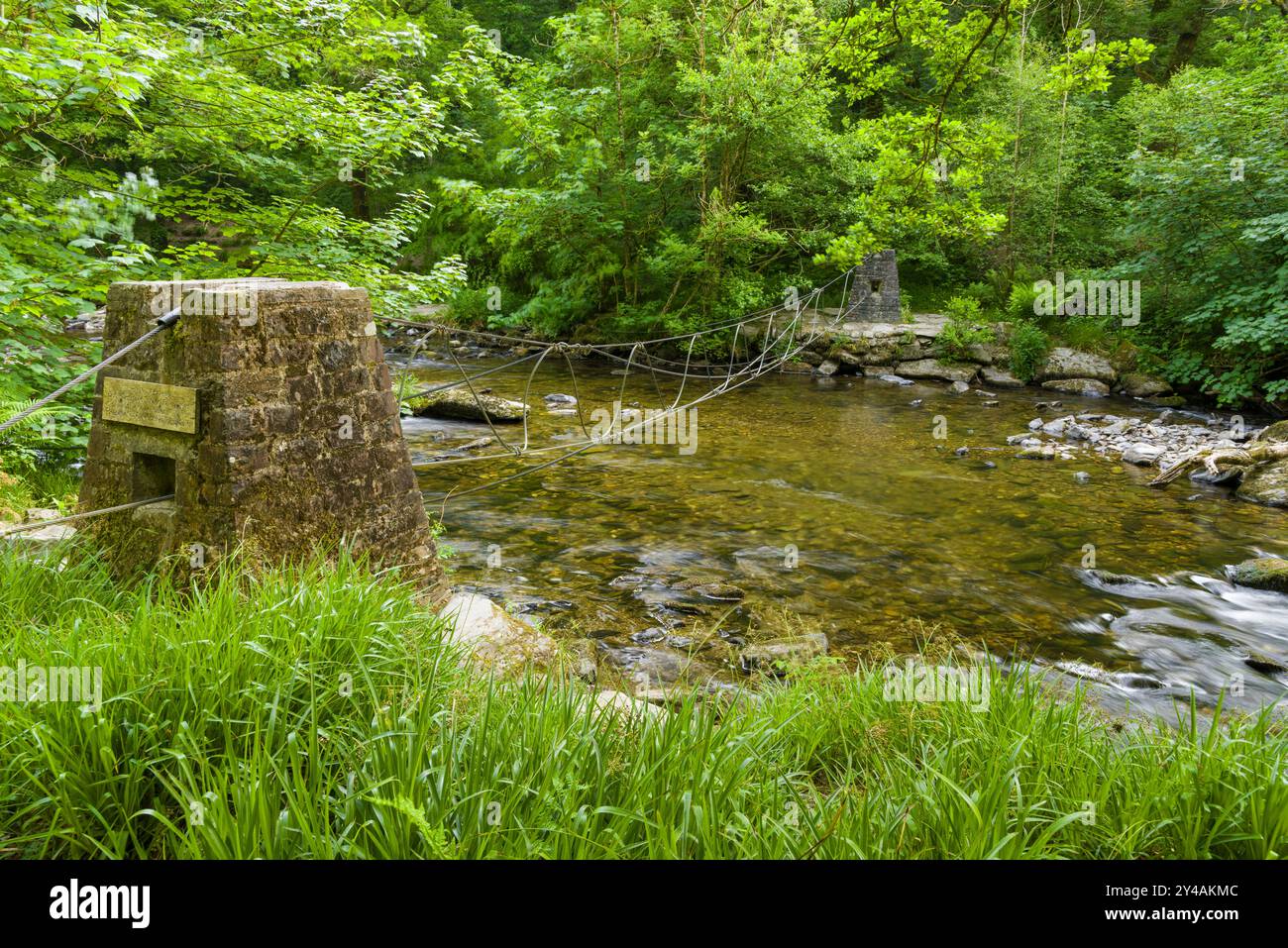 Steel cables spanning the River Barle designed to prevent fallen trees ...