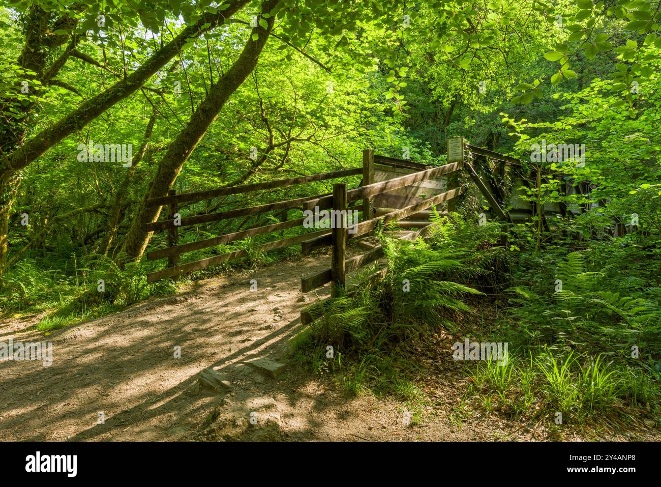Hinds Pit Bridge over the River Barle at Westwater Copse, Exmoor ...