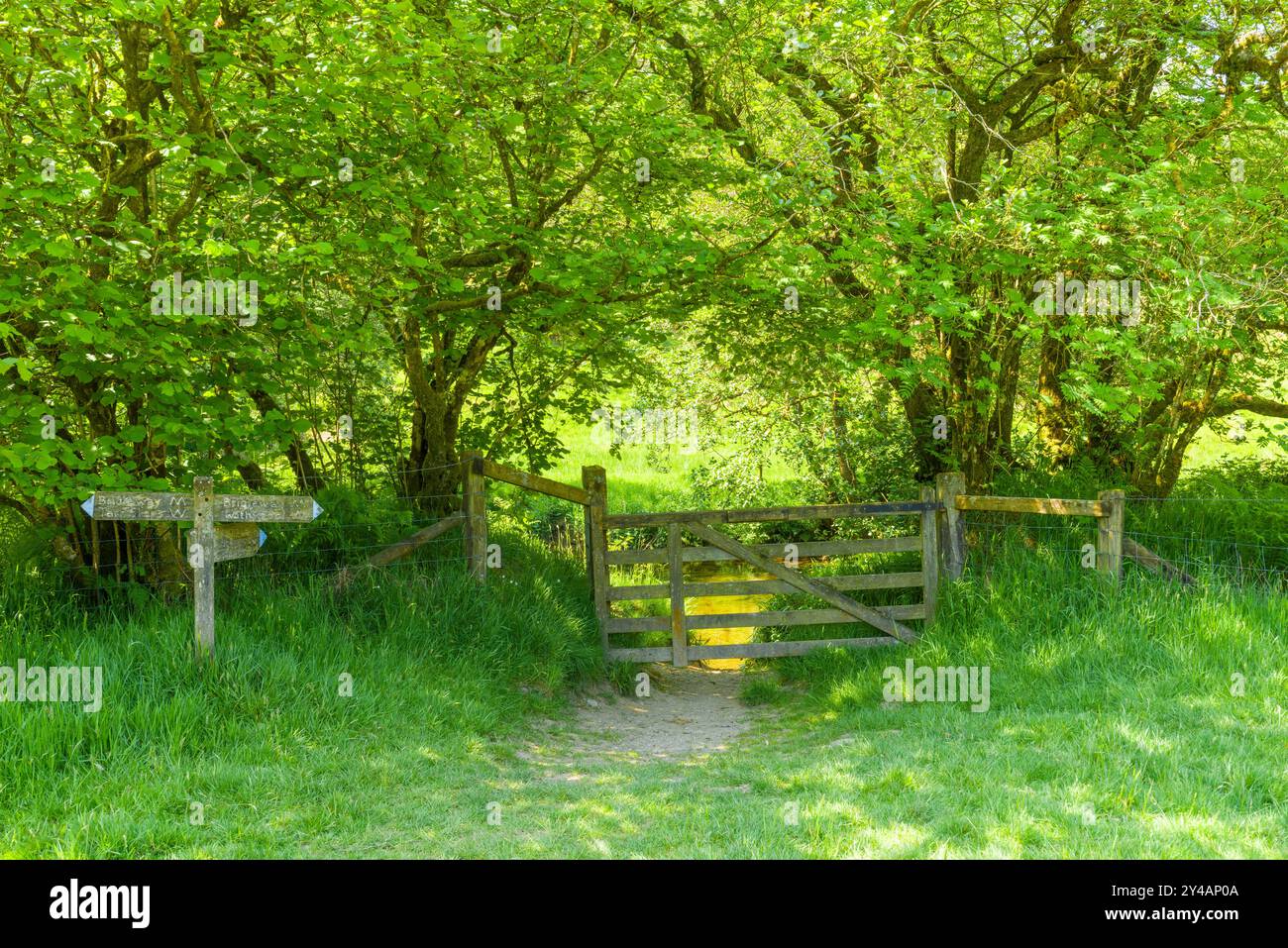 The ford crossing the River Barle at Pitt Wood between Great Bradley ...