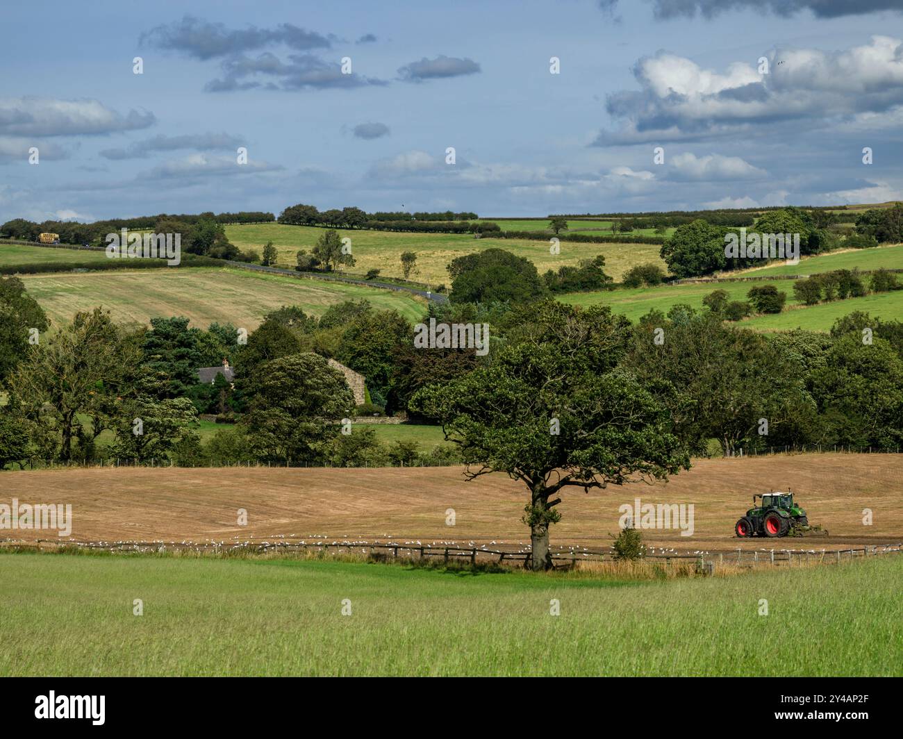 Green & red Fendt tractor working, preparing land (scenic countryside ...