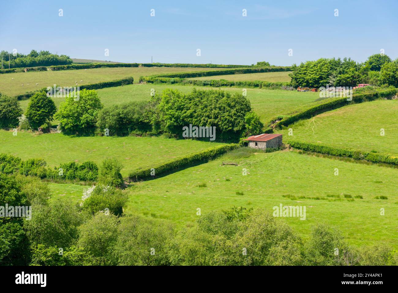 A stone farm building surrounded by fields and hedgerows on a hillside ...