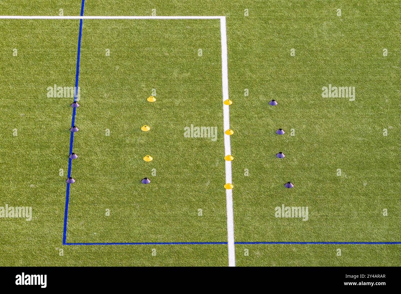 Artificial disk hi-res stock photography and images - Alamy