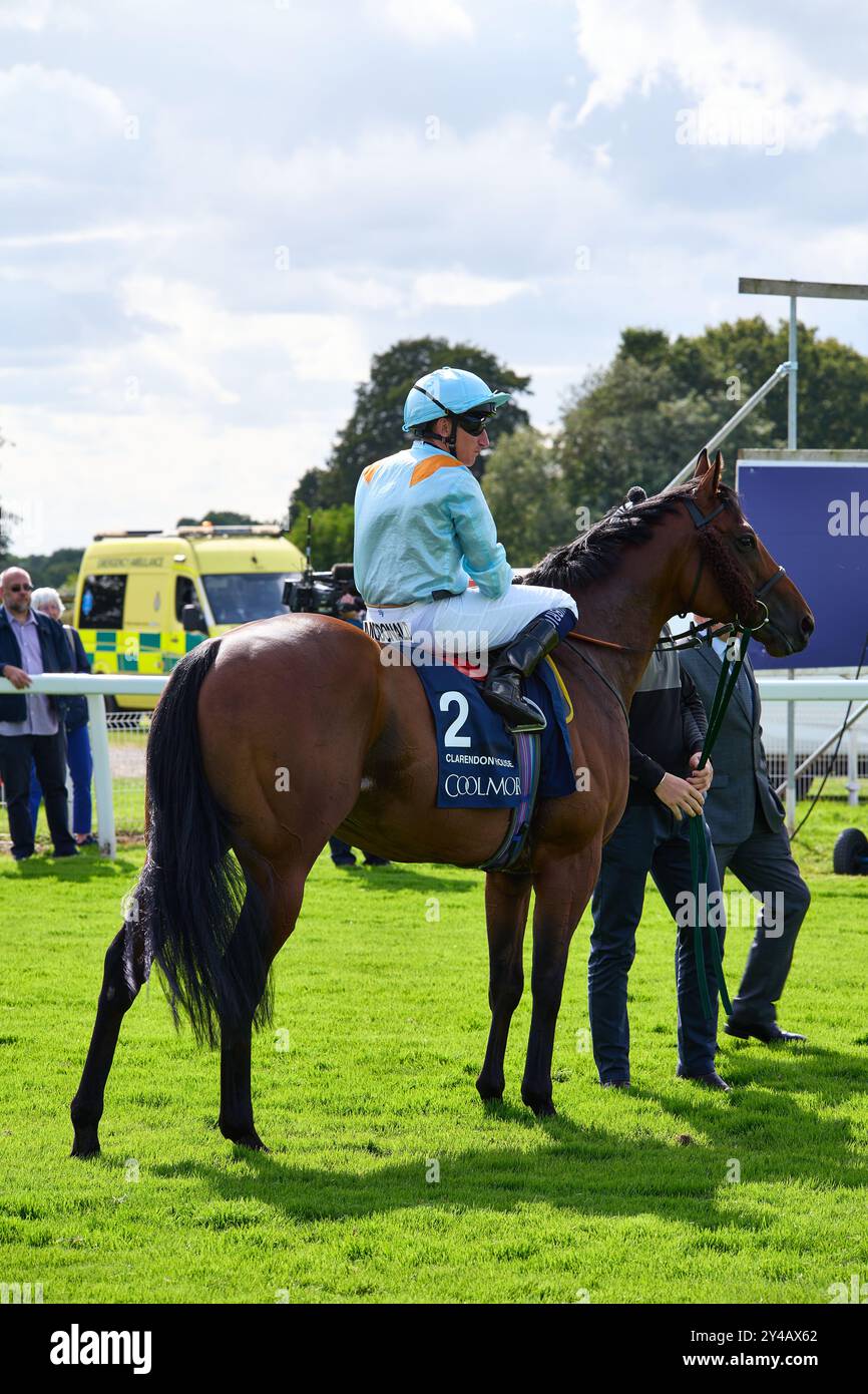 Jockey PJ McDonald on Clarendon House at York Stock Photo - Alamy