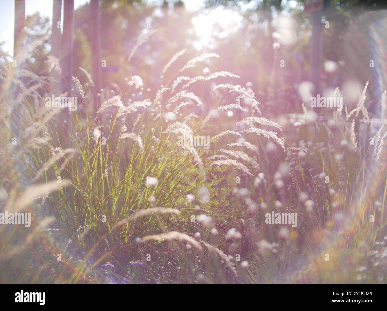 Halo glow effect hi-res stock photography and images - Alamy