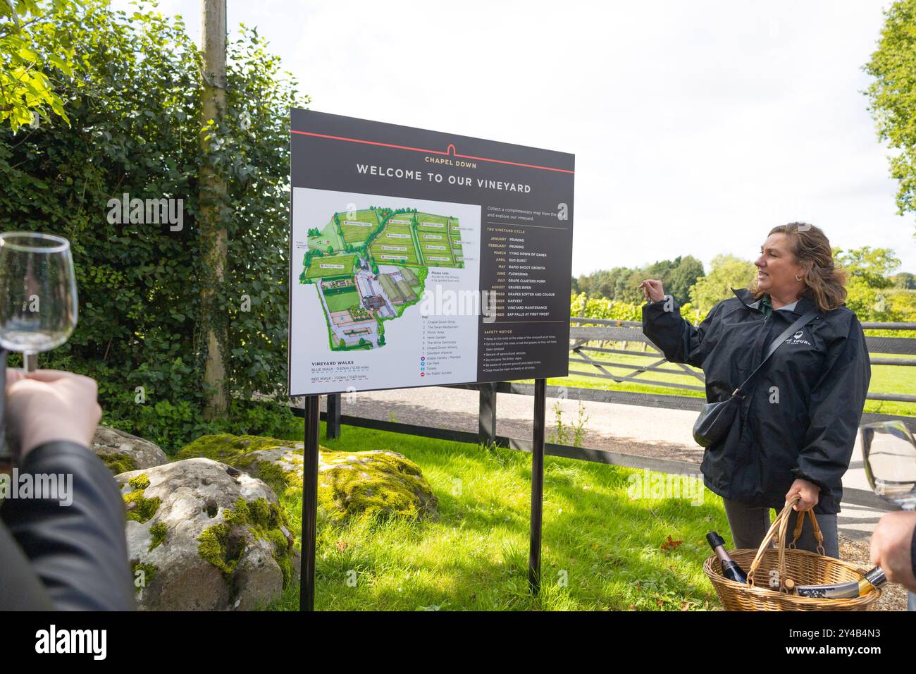 Wine tour at Chapel Down winery Stock Photo - Alamy