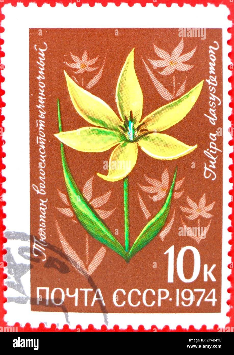 Photo of a 10 Russian Kopeks postage stamp illustration of a Tulip ...
