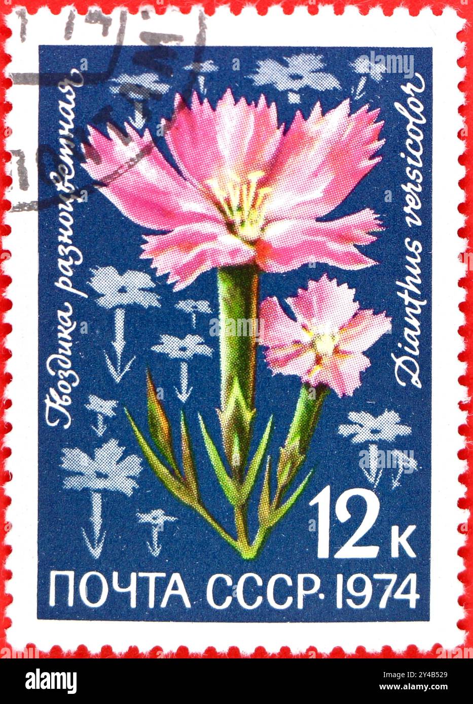 Photo of a 12 Russian Kopeks postage stamp illustration of a Carnation ...