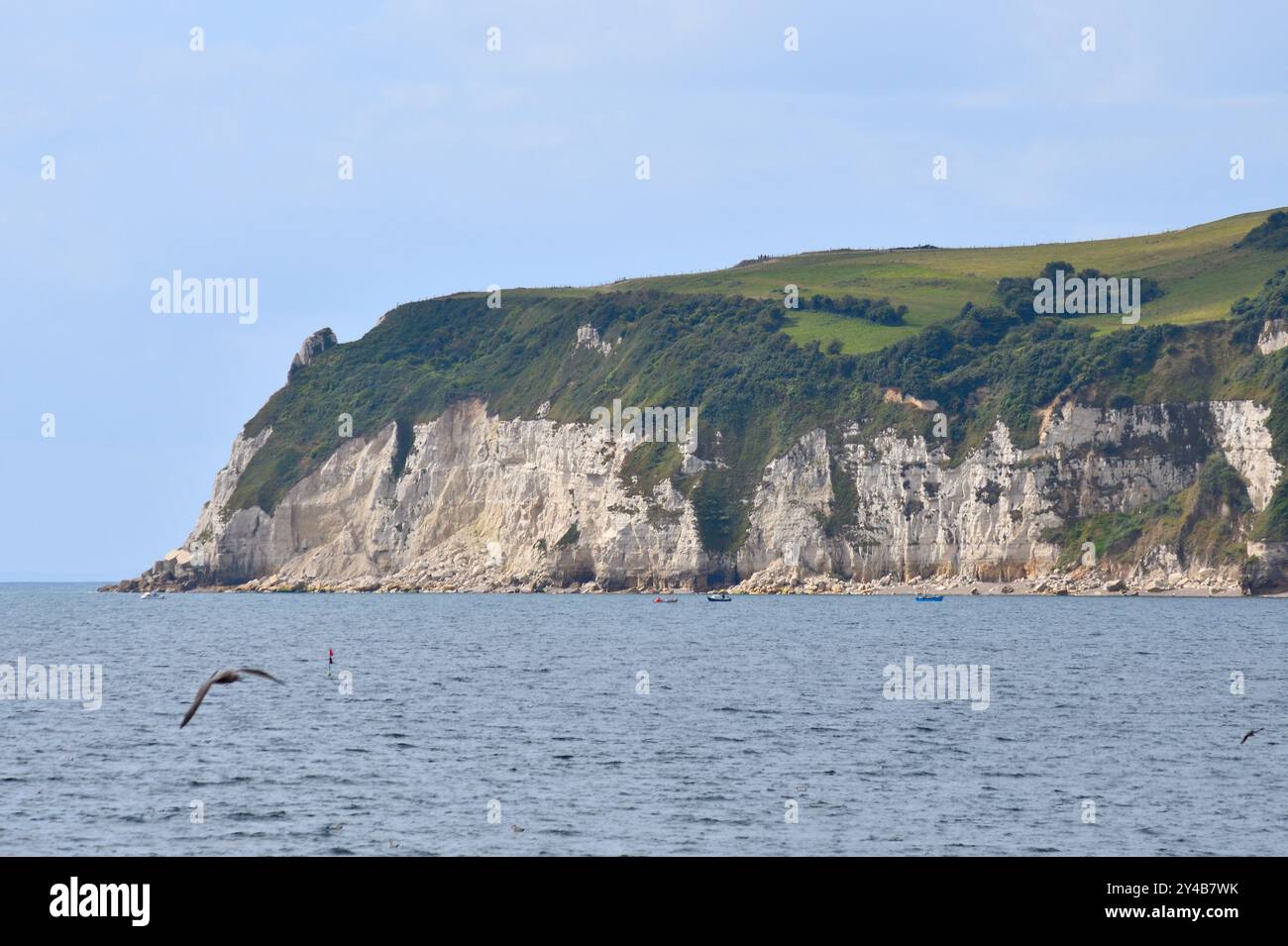 Beer Head Chalk Cliffs Seaton Devon England uk Stock Photo - Alamy