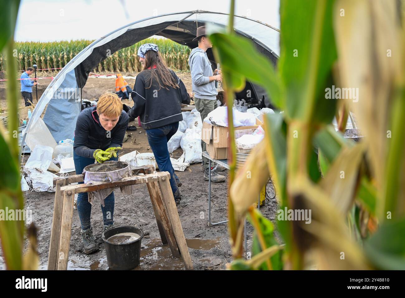 Analyses process hi-res stock photography and images - Alamy